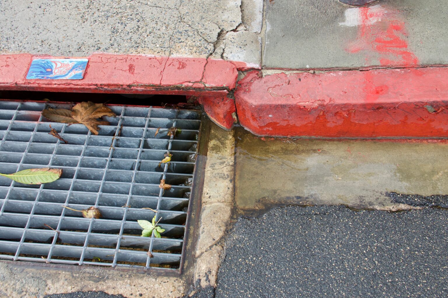Storm Drains & Sewer - Bodine Construction Services, Inc.