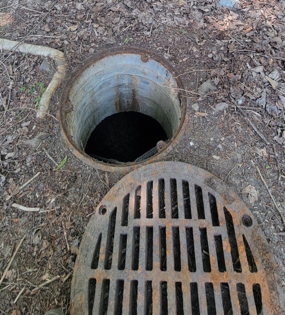 Storm Drains & Sewer - Bodine Construction Services, Inc.